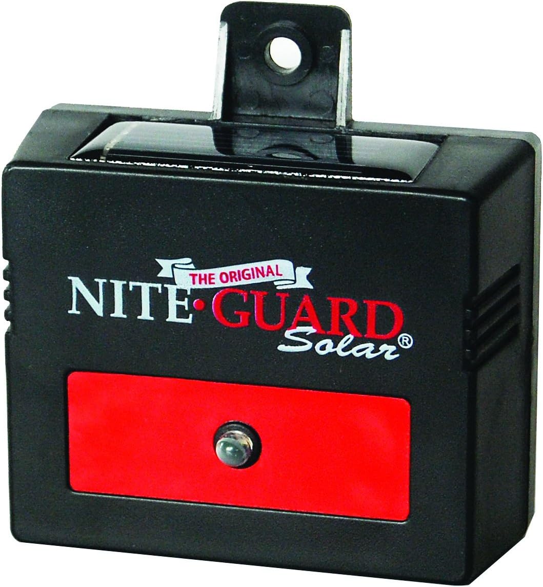 Amazon.com : Nite Guard Solar NG-001 Predator Control Light,Single Pack ...