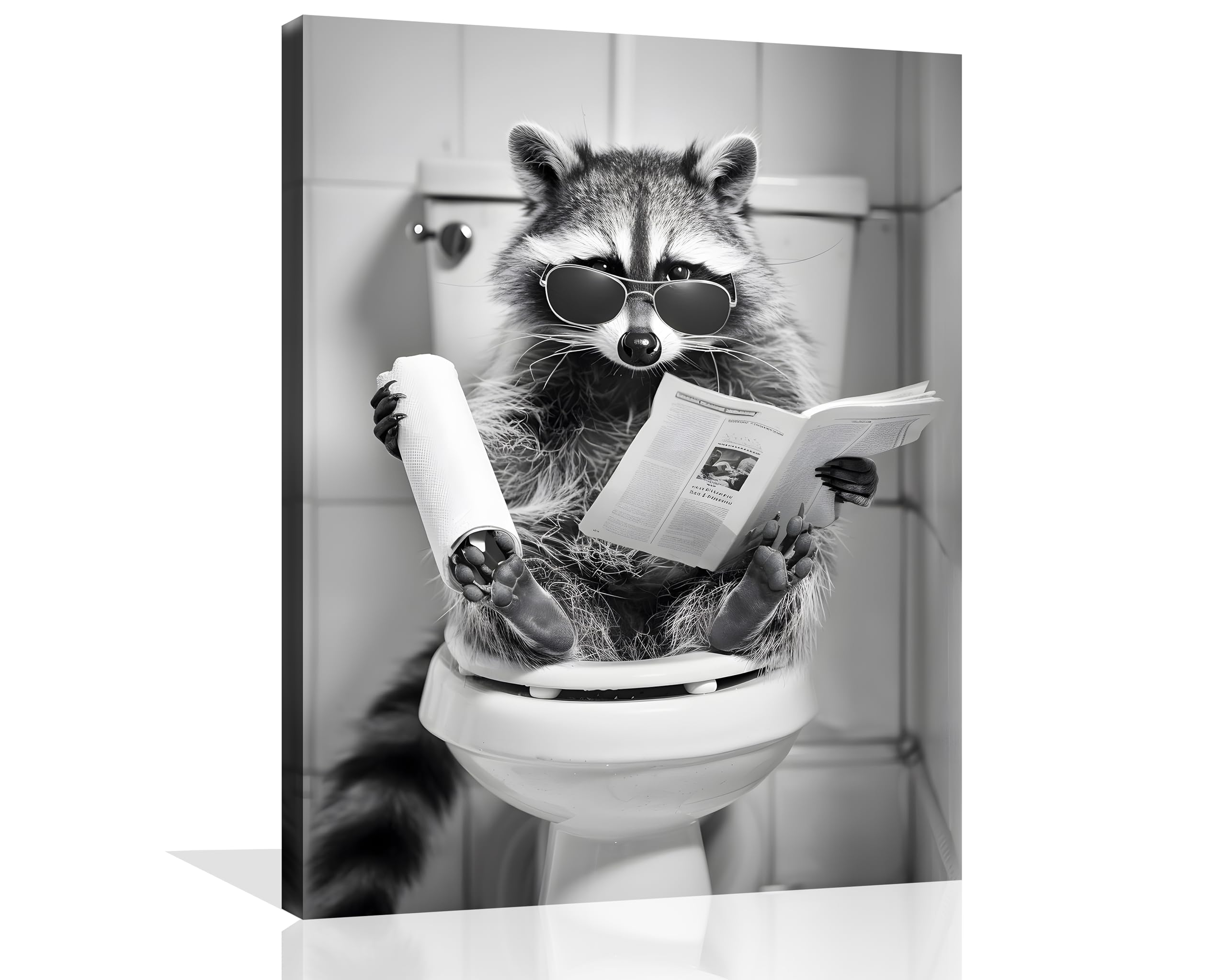 Amazon.com: OWNANRTHM Raccoon Bathroom Wall Art Raccoon on Toilet ...