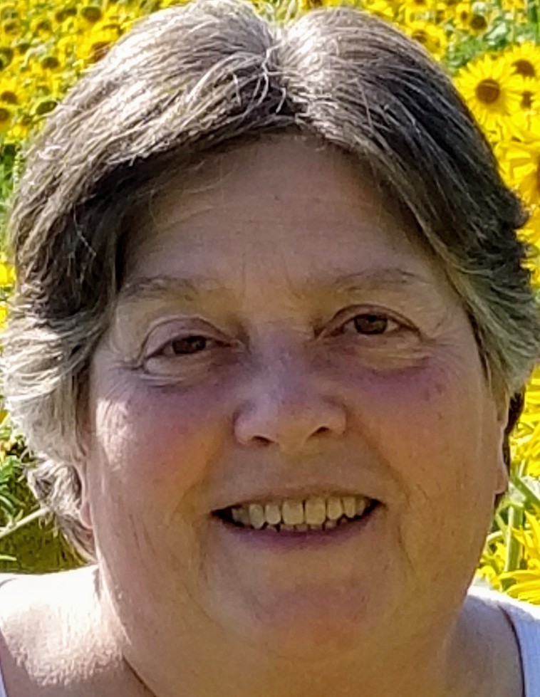 Amazon.com: Carol Ann Cook: books, biography, latest update