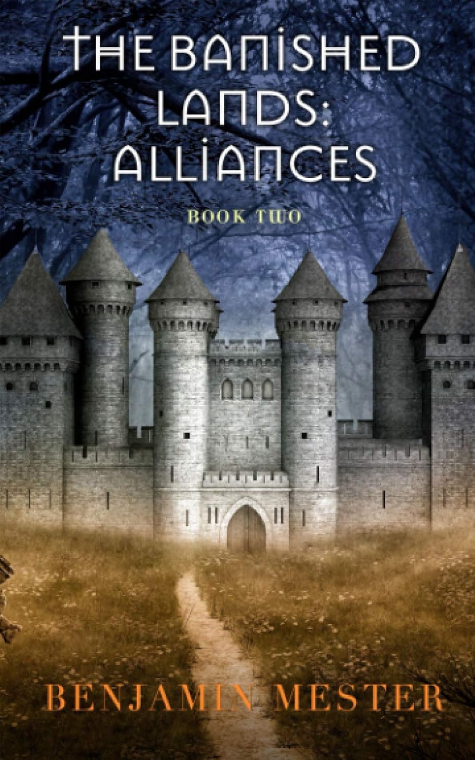 The Banished Lands: Alliances: Mester, Benjamin: 9780991598243: Amazon ...