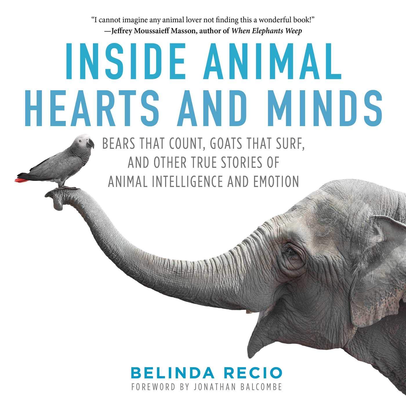 Inside Animal Hearts and Minds: Bears That Count, Goats That Surf, and ...