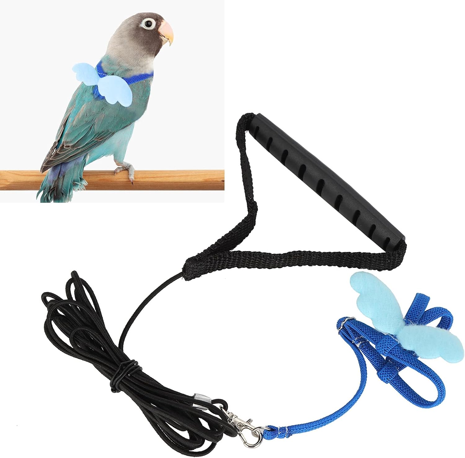 Amazon.com : xianshi Bird Adjustable Harness, Parrots Small Bird Cute ...