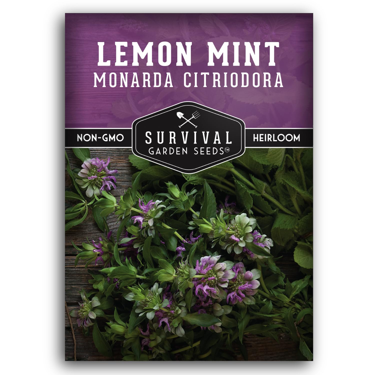 Amazon.com : Lemon Mint Seeds for Planting - 1 Herb Seeds Packet with ...