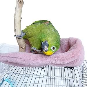 Amazon.com : ShanLily Bird Buddy, Corner Fleece Bird Blanket, Cozy Bird ...