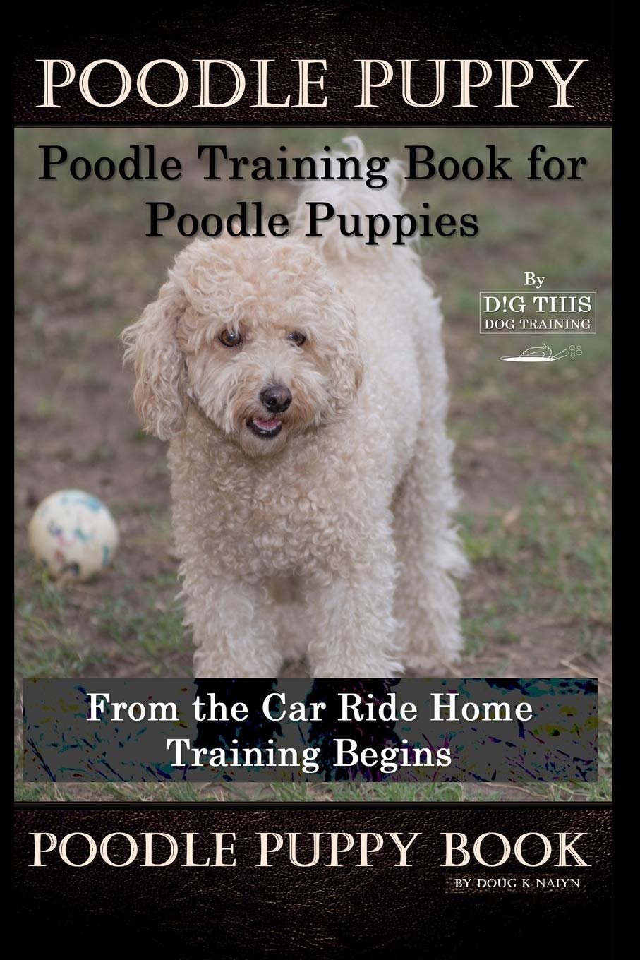 How To Train Your Poodle Puppy