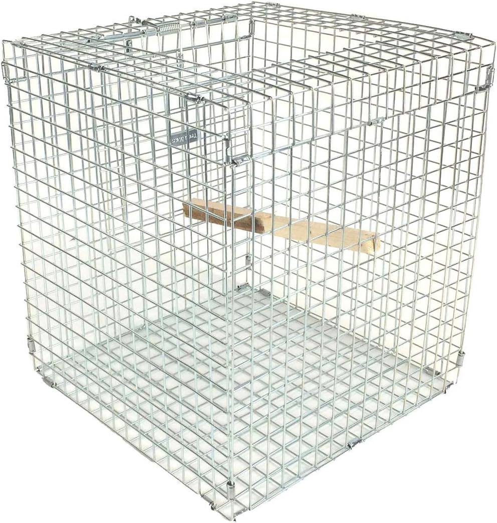TrapMan Larsen Mate UK Made, Single catching compartment, Magpie Trap ...