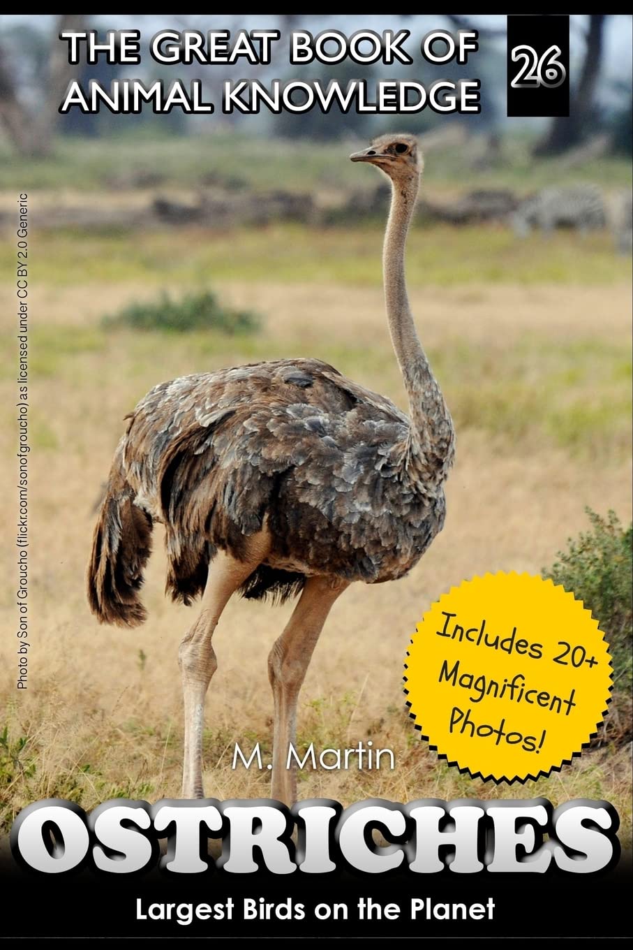 Ostriches: Largest Birds on the Planet (The Great Book of Animal ...