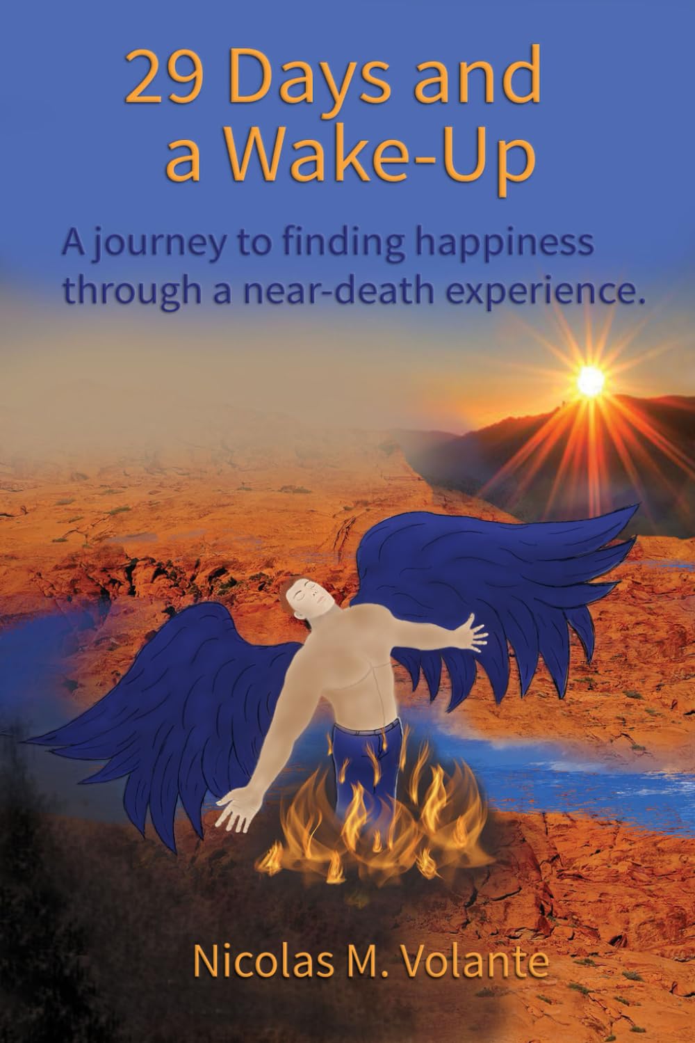 29 Days and a Wake Up: A journey to finding happiness through a near ...