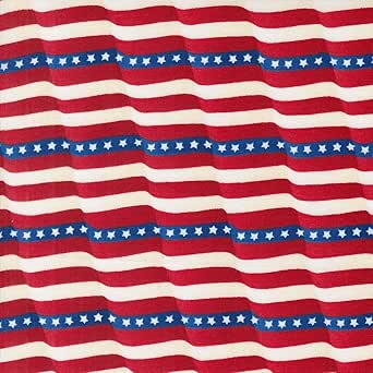 Amazon.com: Moda Fabrics Red White and Bloom by Deb Strain Patriotic ...