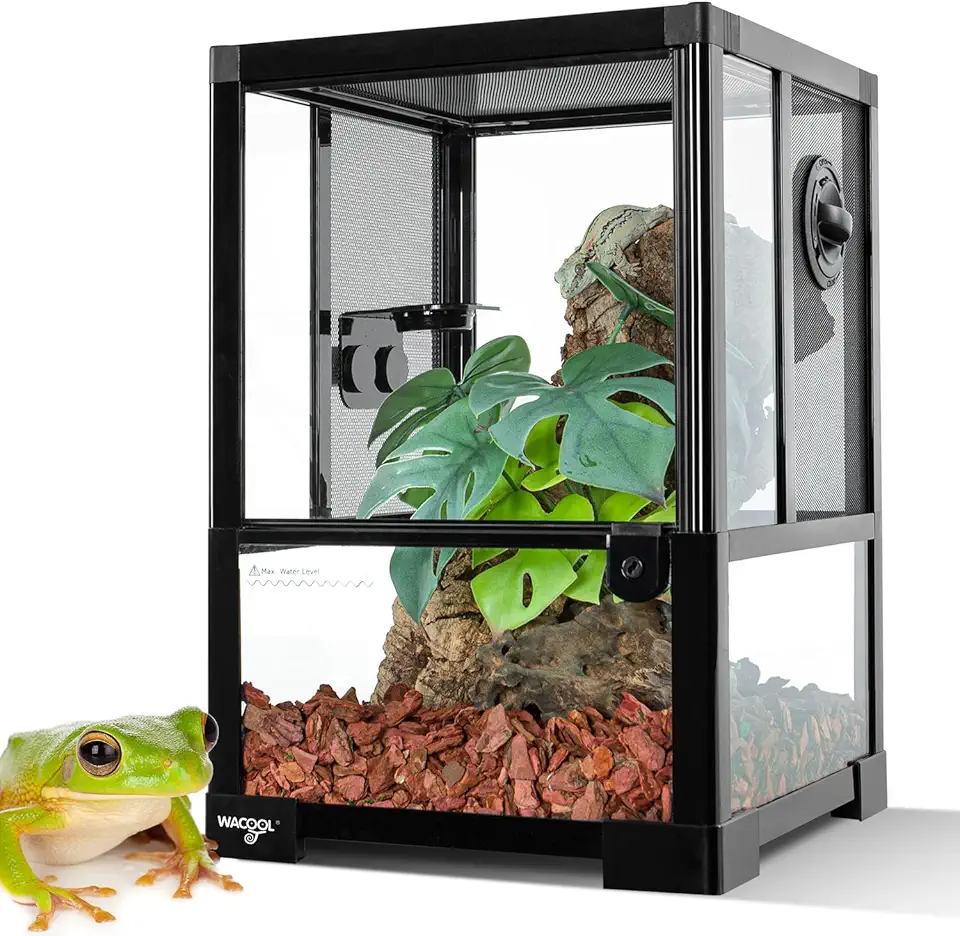 The Best Lizard Species For A 10 Gallon Tank | PetShun