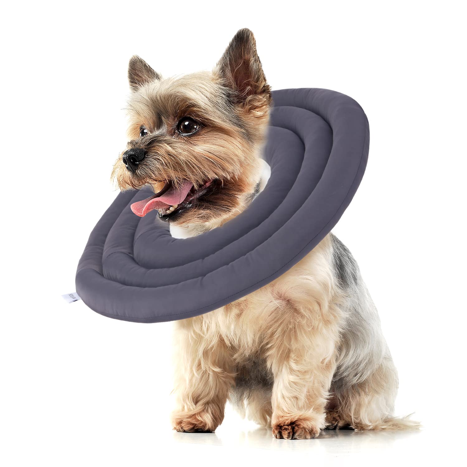 Search Las Vegas, NV | Nellis Auction