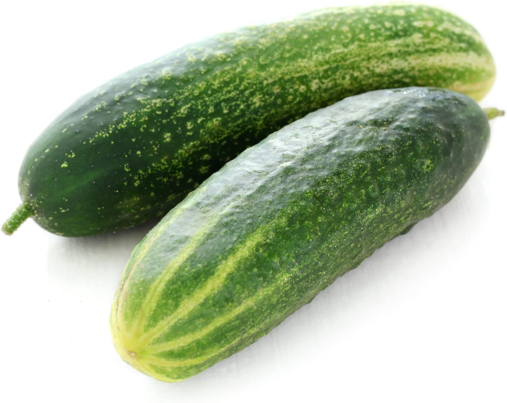 Cucumber 'Perfection' (25 Seeds) : Amazon.co.uk: Garden