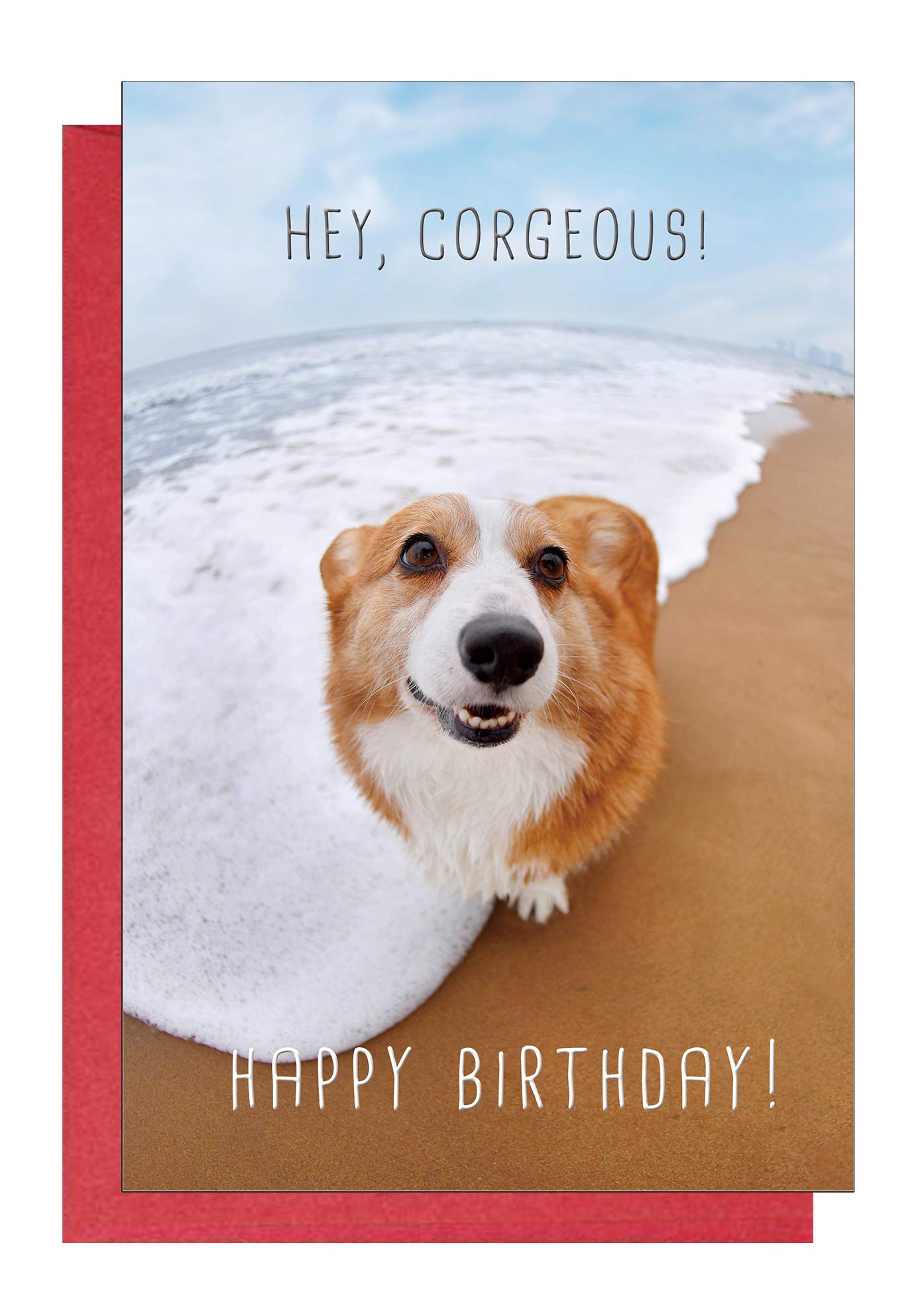 Buy Corgi Birthday Card Corgeous Dog Bday Card For Husband Boyfriend 