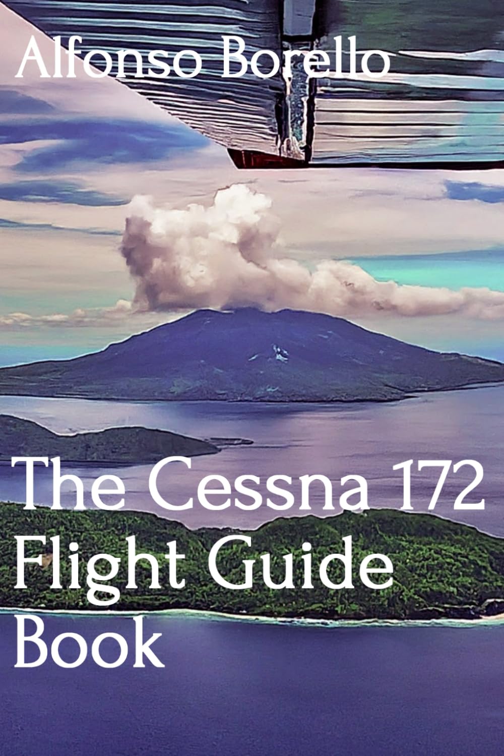 The Cessna 172 Flight Guide Book: Borello, Alfonso: 9798884062108 ...