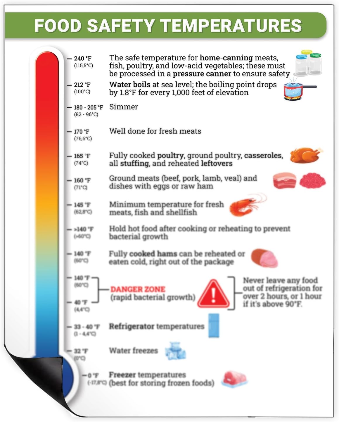 Amazon.com: Food Safety Temperatures Poster Unframed; Scales ...