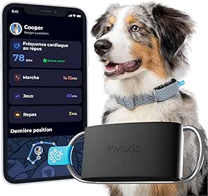 Amazon.com: Invoxia Minitailz - Health & GPS Tracker for Dogs #1 ...