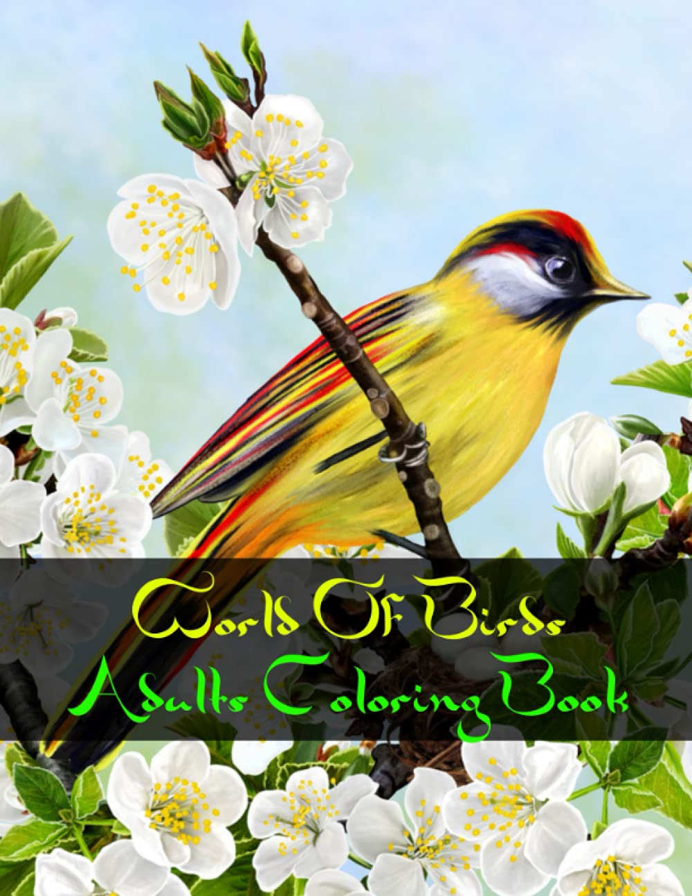 Buy World Of Bird Adults Coloring Book: World Of Bird Adults Coloring ...