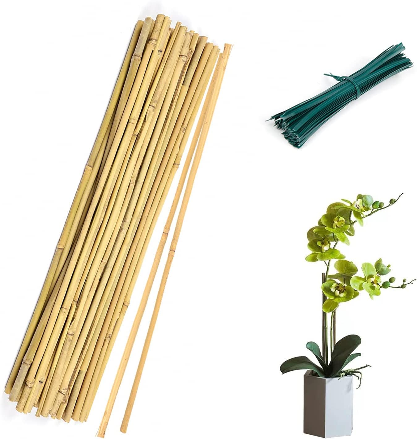 ZAM ZAM 40pcs 36 inch Bamboo Sticks Decor for Plants Bamboo Garden ...
