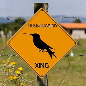 Amazon.com: Hummingbird Crossing Metal Signs Caution Hummingbird Metal ...
