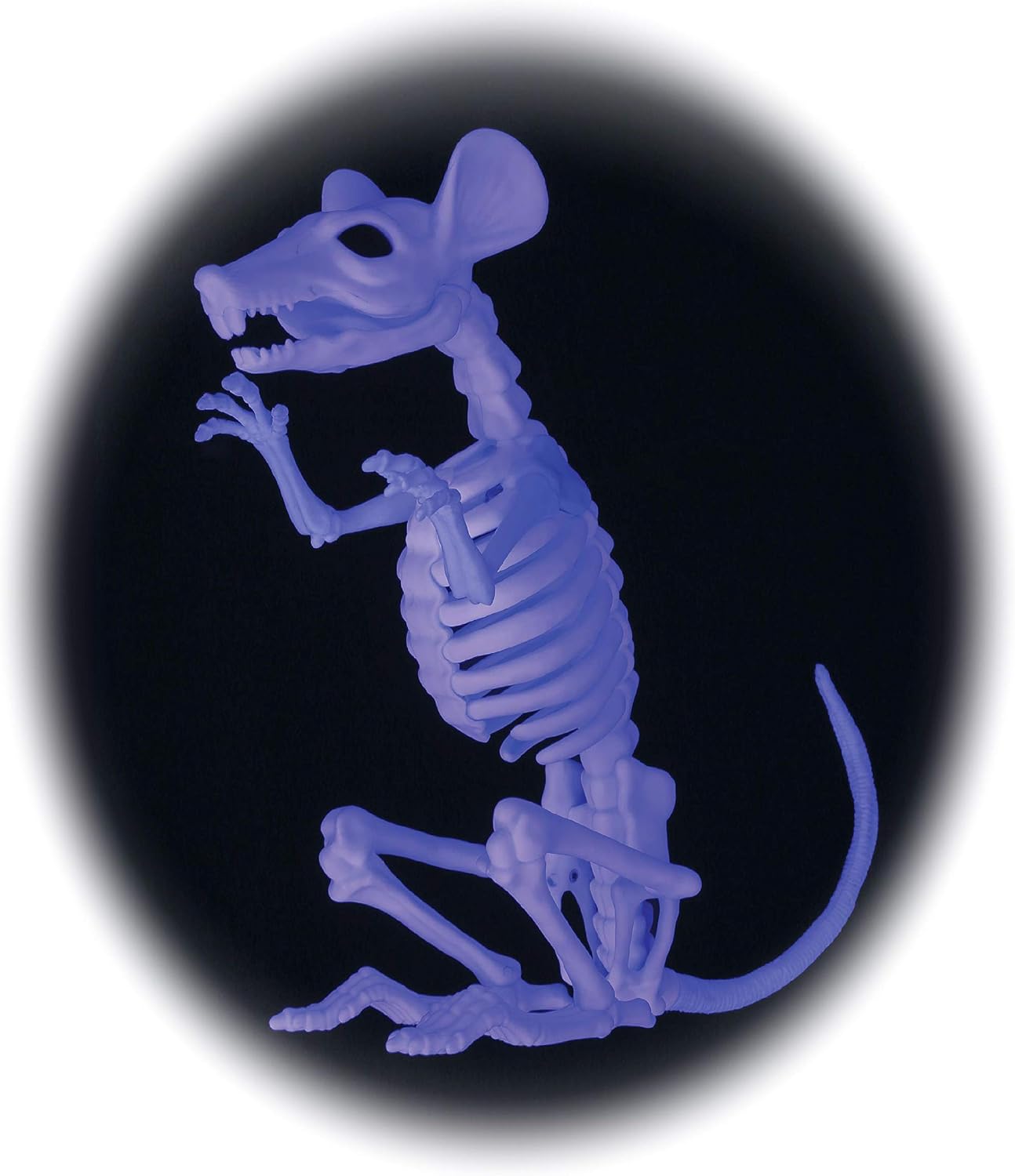 Amazon.com: Crazy Bonez Ghostly Skeleton Rat : Home & Kitchen