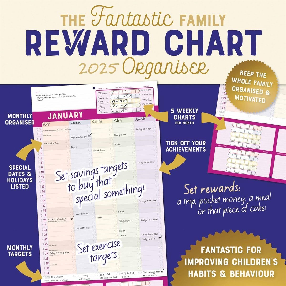 Family Reward Chart Organiser Wall Planner 2025 (PFP) : Amazon.co.uk ...