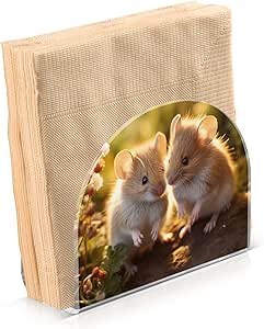 Amazon.com: Napkin Holders for Table Paper Napkins Dispenser Kitchen ...