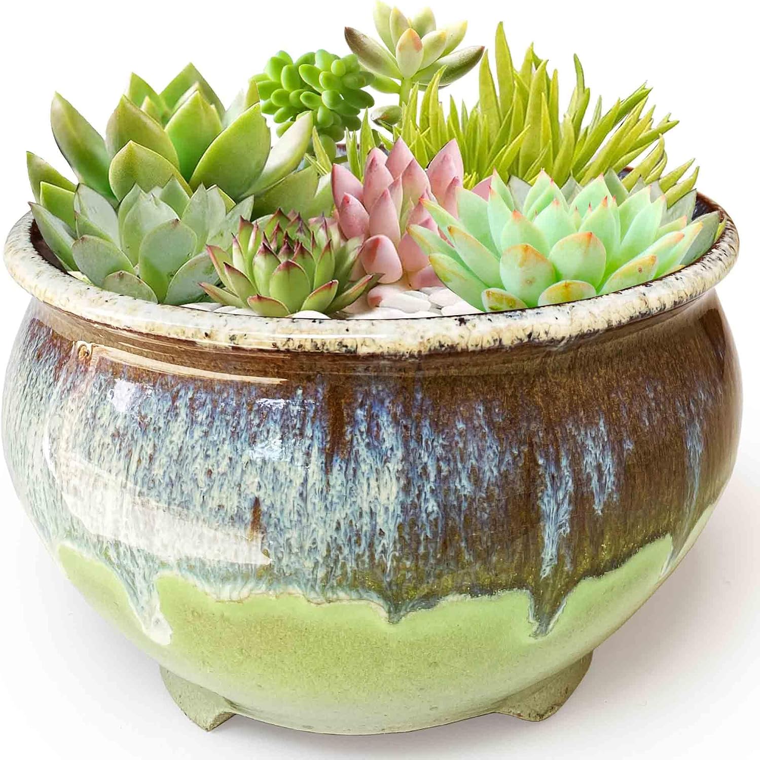 Amazon.com : Casktcom Unique 6.3 Inch Glazed Ceramic Shallow Succulent ...
