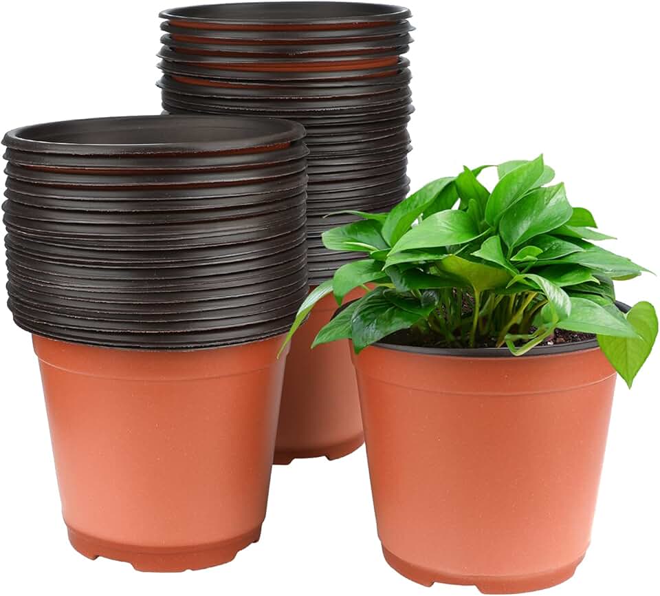 Amazon.co.uk: Bulb Pots