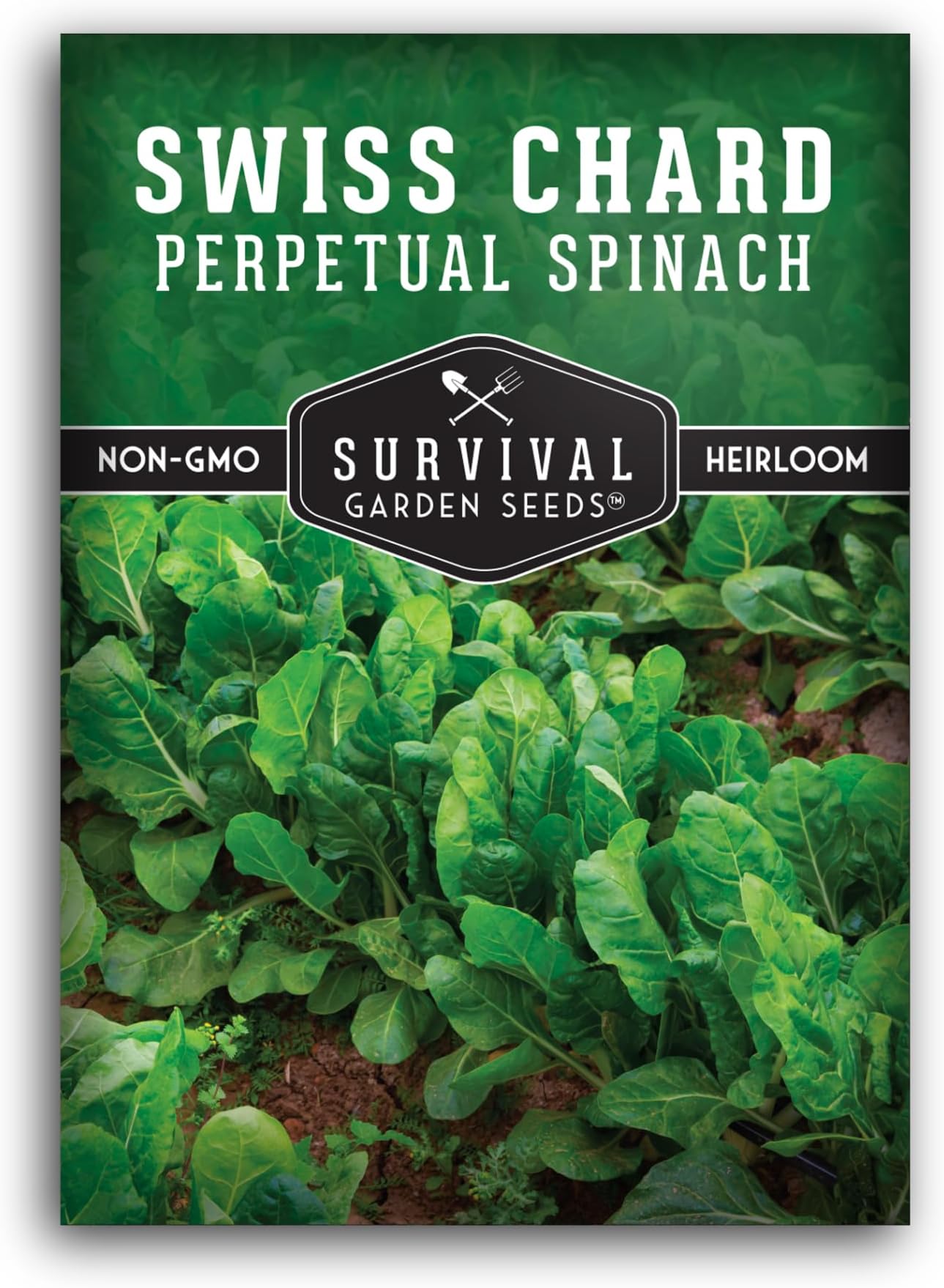 Amazon.com : Perpetual Spinach Swiss Chard - 100 Seeds - Heirloom ...