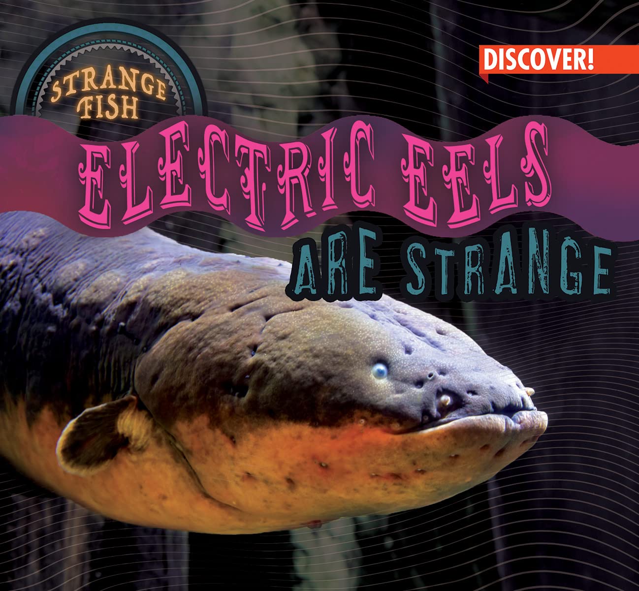 Electric Eels Are Strange (Strange Fish): Humphrey, Natalie ...