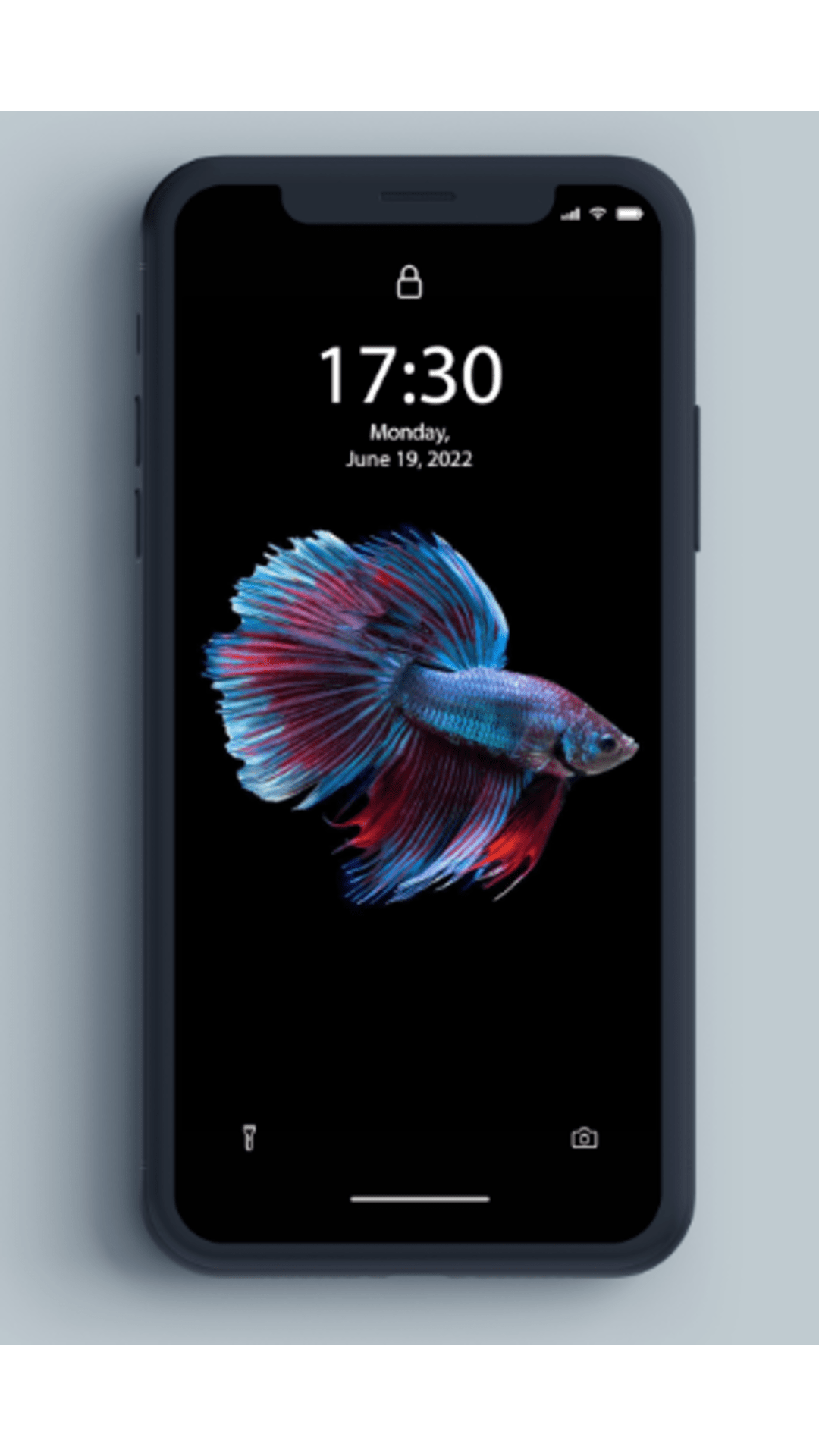 Betta Fish Wallpaper Hot 2025 - Aplicativo na Amazon Appstore