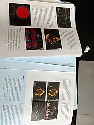 Clinical Echocardiography Review: Klein MD FRCP(C) FACC FAHA, Allan L ...