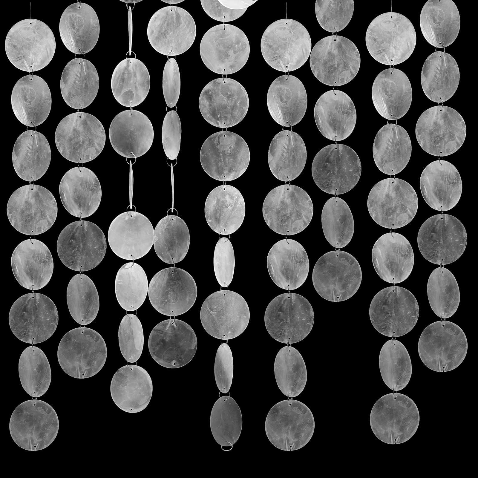 Amazon.com: 2 Inch Capiz Shells, 180 Pcs Round Natural Shells, Round ...