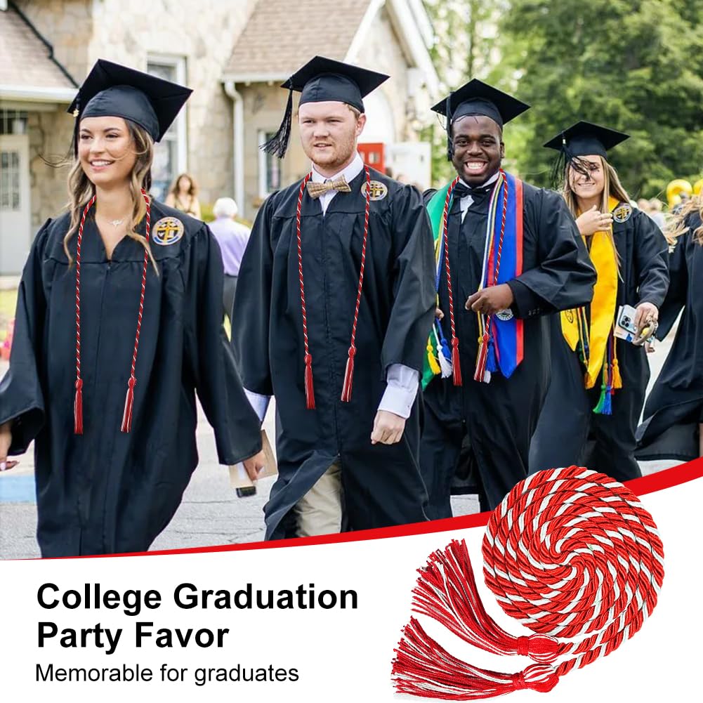 Snapklik.com : 36 Pieces Graduation Honor Cords, Graduation Cords Bulk ...