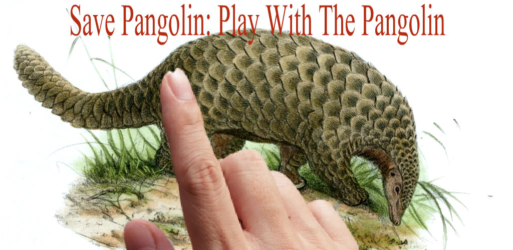 Save Pangolin: Play with the pangolins - App on Amazon Appstore
