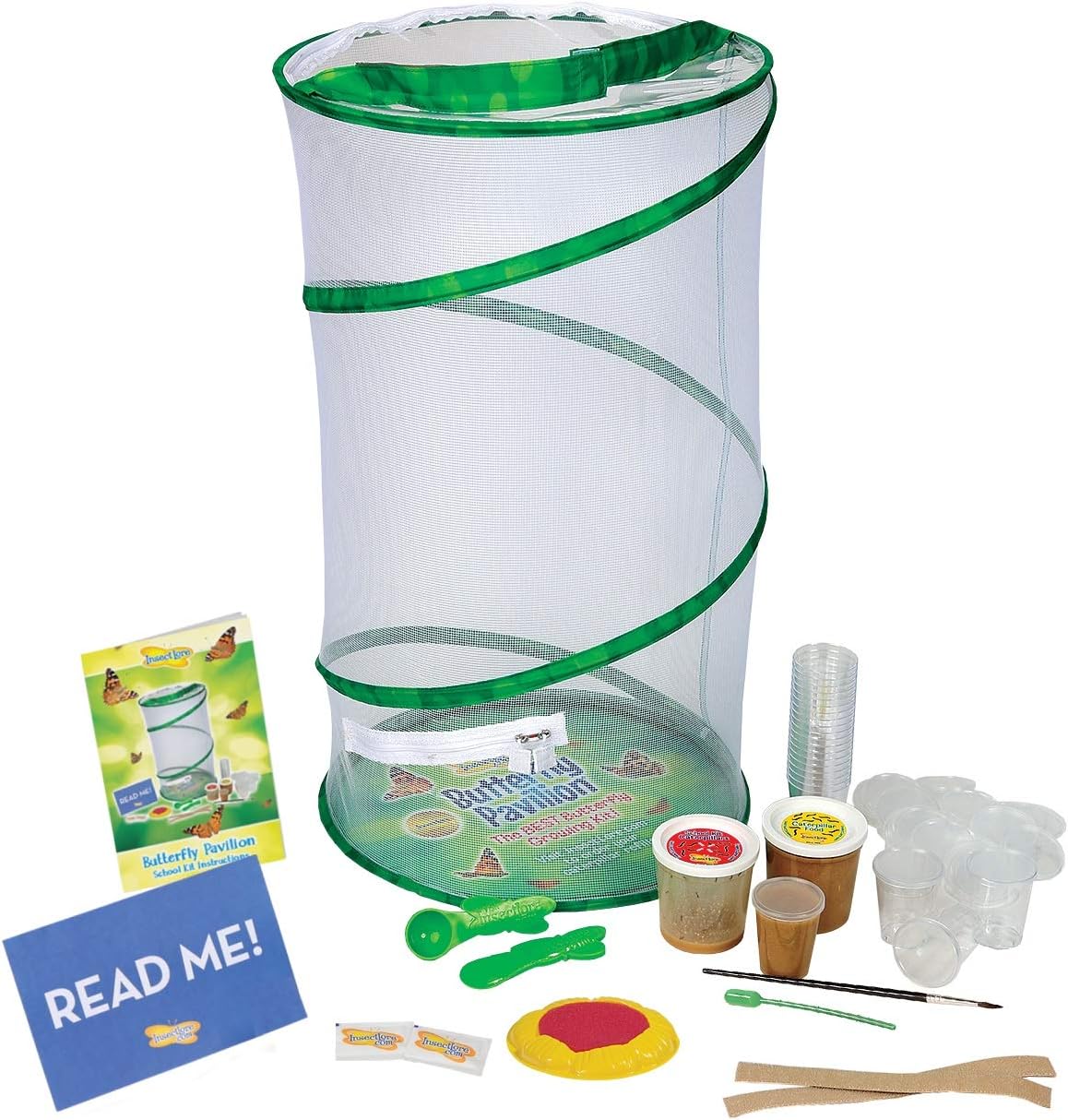 Amazon.com: Insect Lore Deluxe School Kit with 33 Live Caterpillars ...