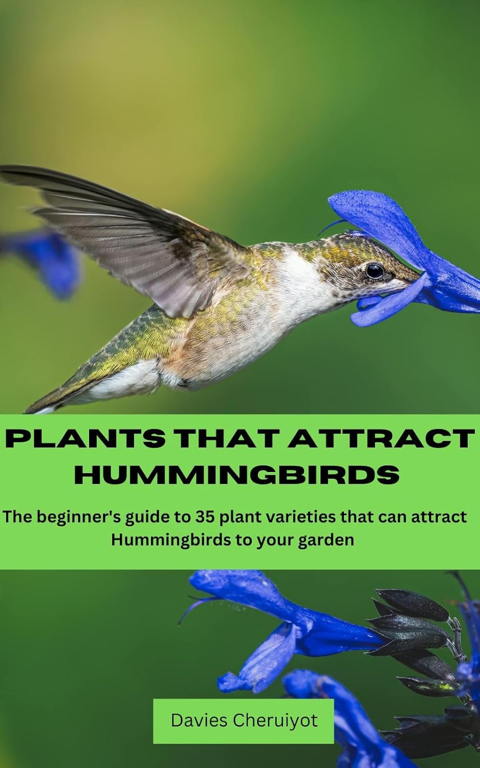 Amazon.com: PLANTS THAT ATTRACT HUMMINGBIRDS : The beginner's guide to ...
