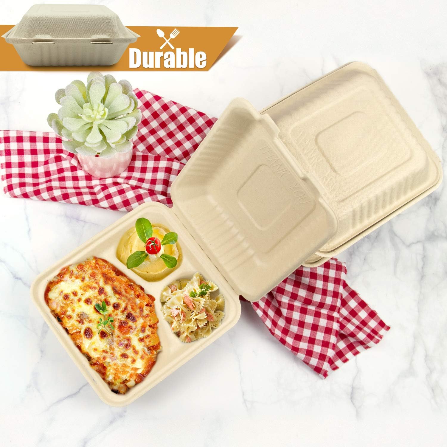 Compostable Clamshell Food Boxes with Hinged Lid - Green Earth, 9-inch ...