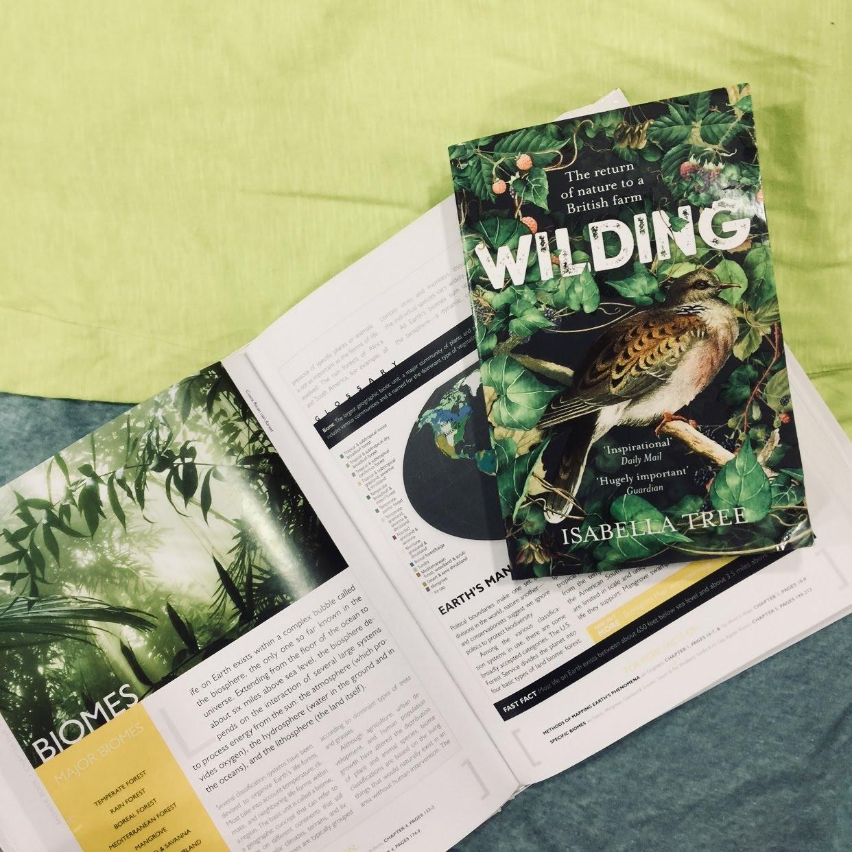 Buy Wilding: The Return of Nature to a British Farm Book Online at Low ...