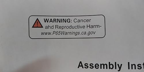 Amazon.com: Redmon For Kids Fun and Fitness Dumbbell Set, Multicolor ...