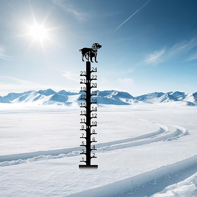 Amazon.com : JOVELL 24 Inch Metal Snow Gauge, Snow Measuring Stick ...