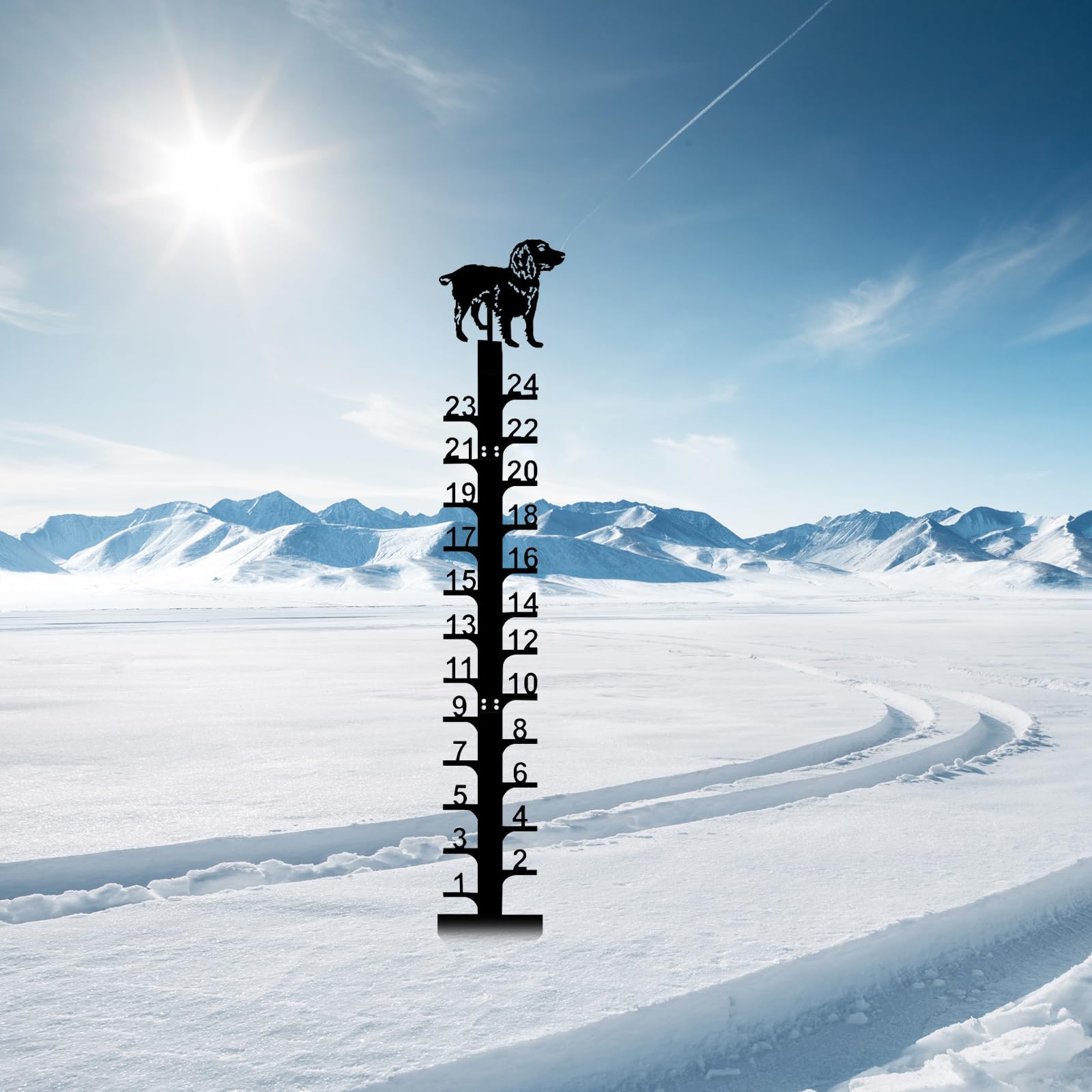 Amazon.com : JOVELL 24 Inch Metal Snow Gauge, Snow Measuring Stick ...