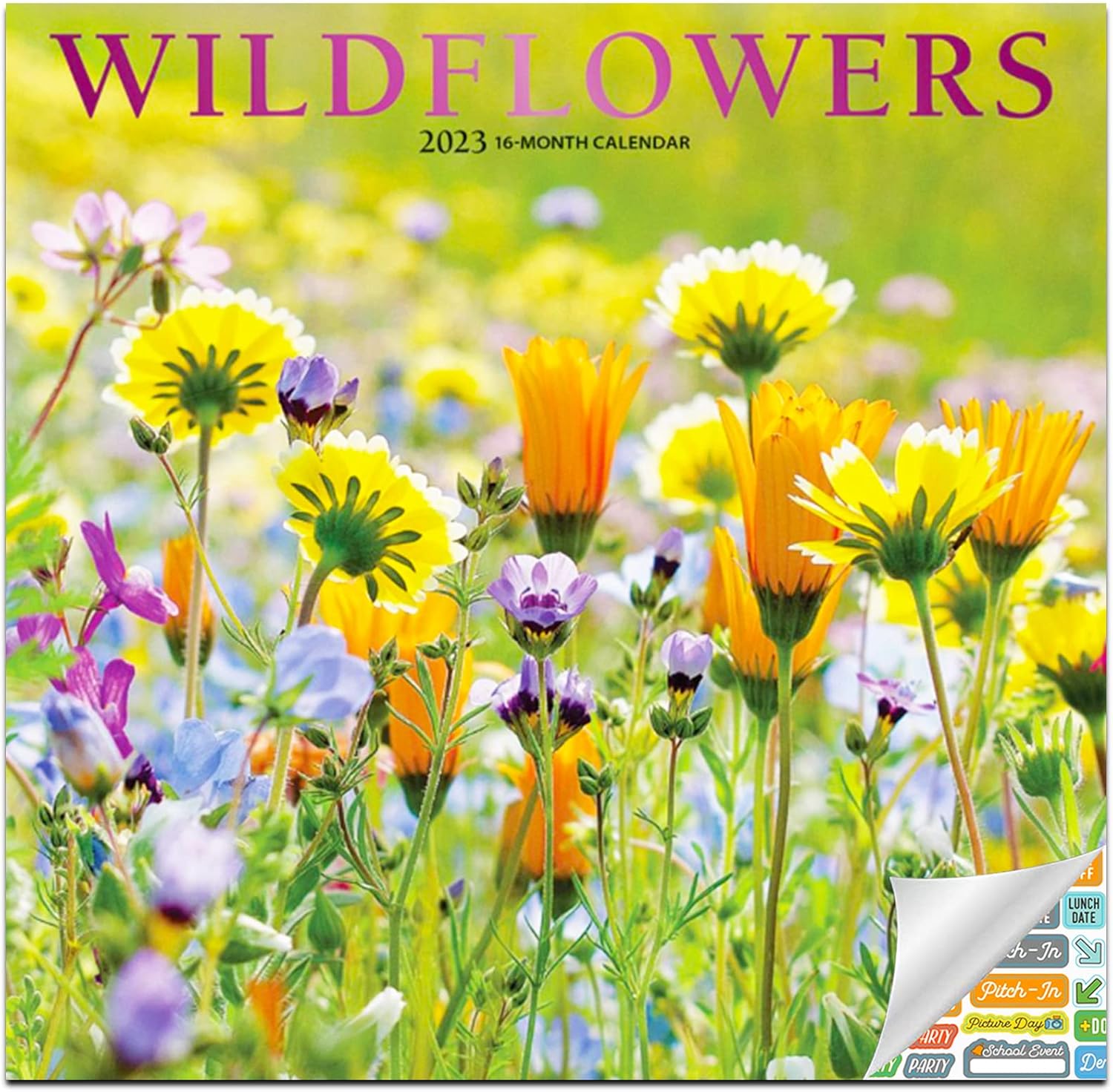 Amazon.com: Wildflowers Calendar 2023 - Deluxe 2023 Wild flowers Wall ...