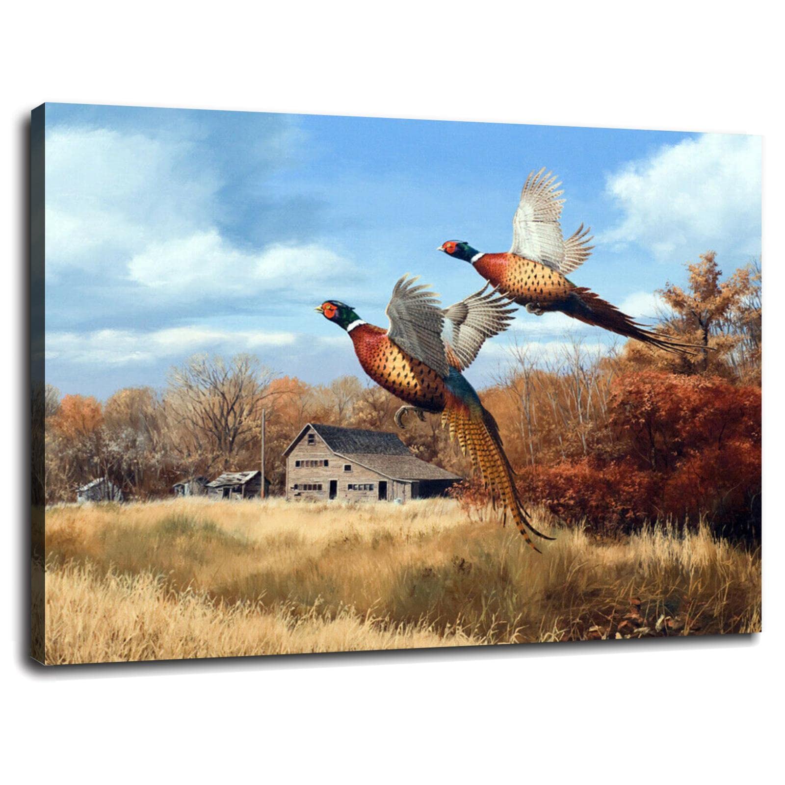 Pheasant Flying Art