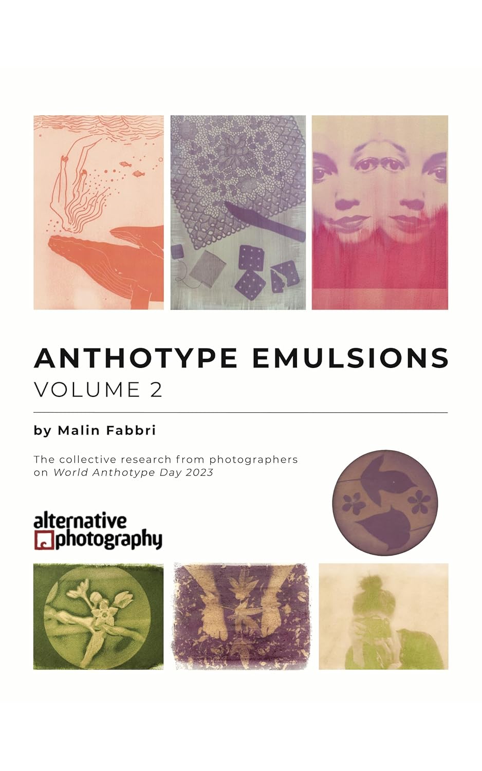 Amazon.com: Anthotype Emulsions, Volume 2: The collective research from ...