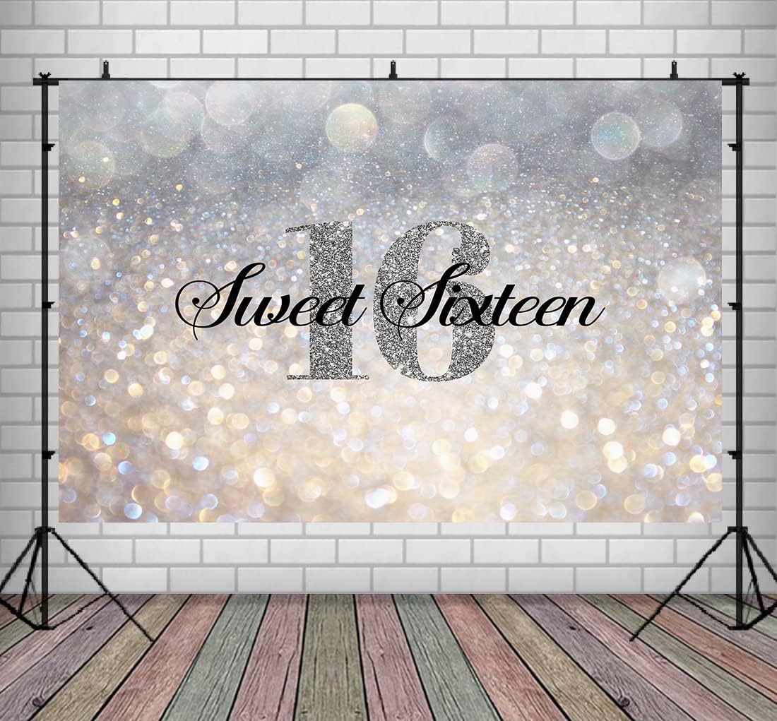 Amazon.com : Lofaris Sweet 16 Birthday Party Backdrop Shiny (No Glitter ...