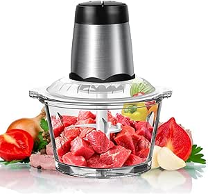 Mini Food Chopper Processor with 300W Motor, 2 Speed Mini Chopper ...