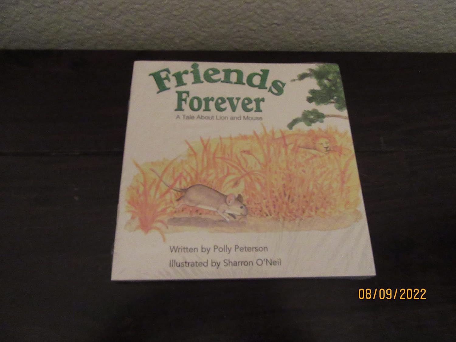 Ready Readers, Stage 5, Book 19, Friends Forever, 6 Pack;Ready Readers ...