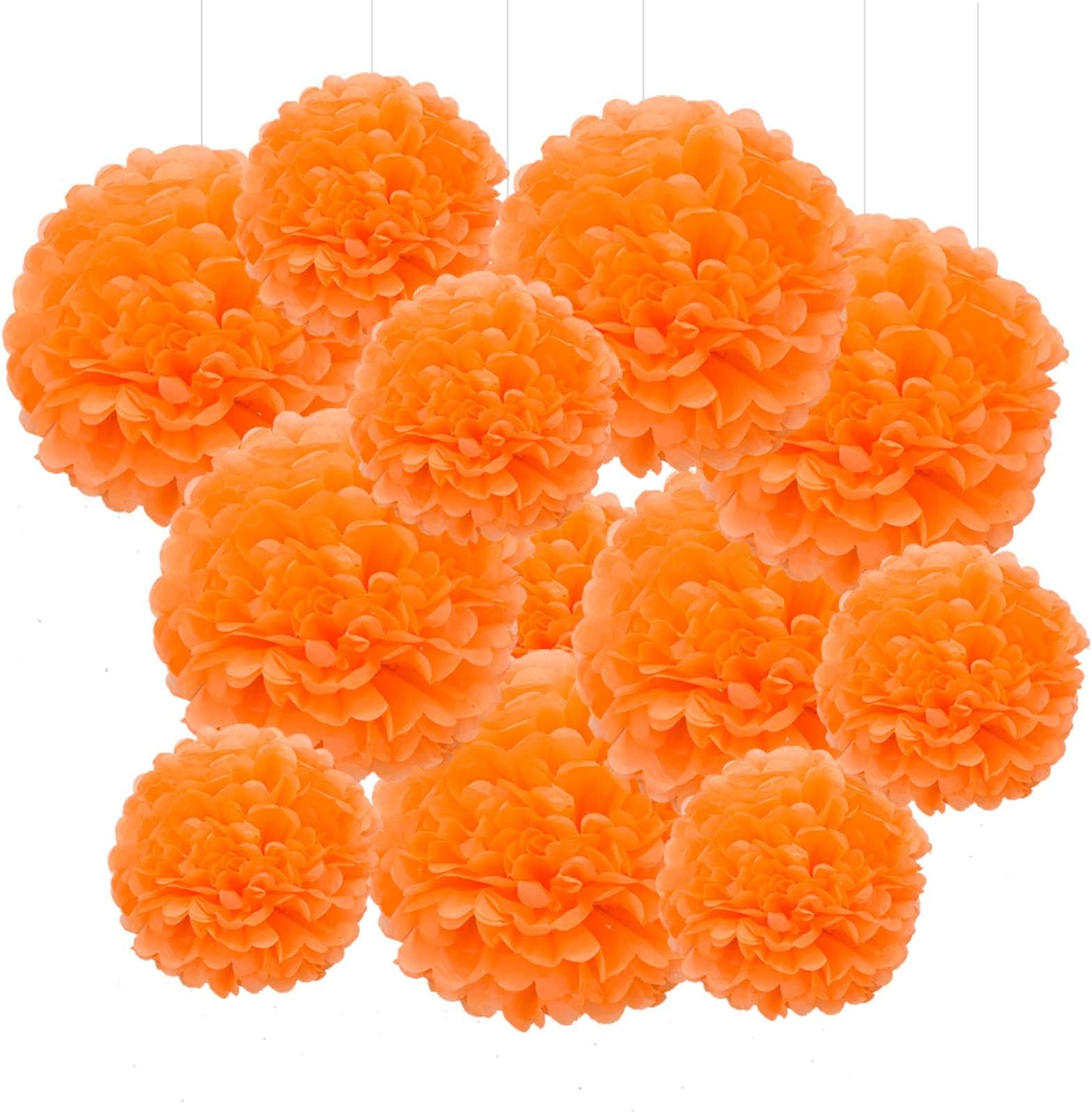 Amazon.com: GAKA Orange Tissue Paper Pom Poms Decoration,10 inch and 12 ...