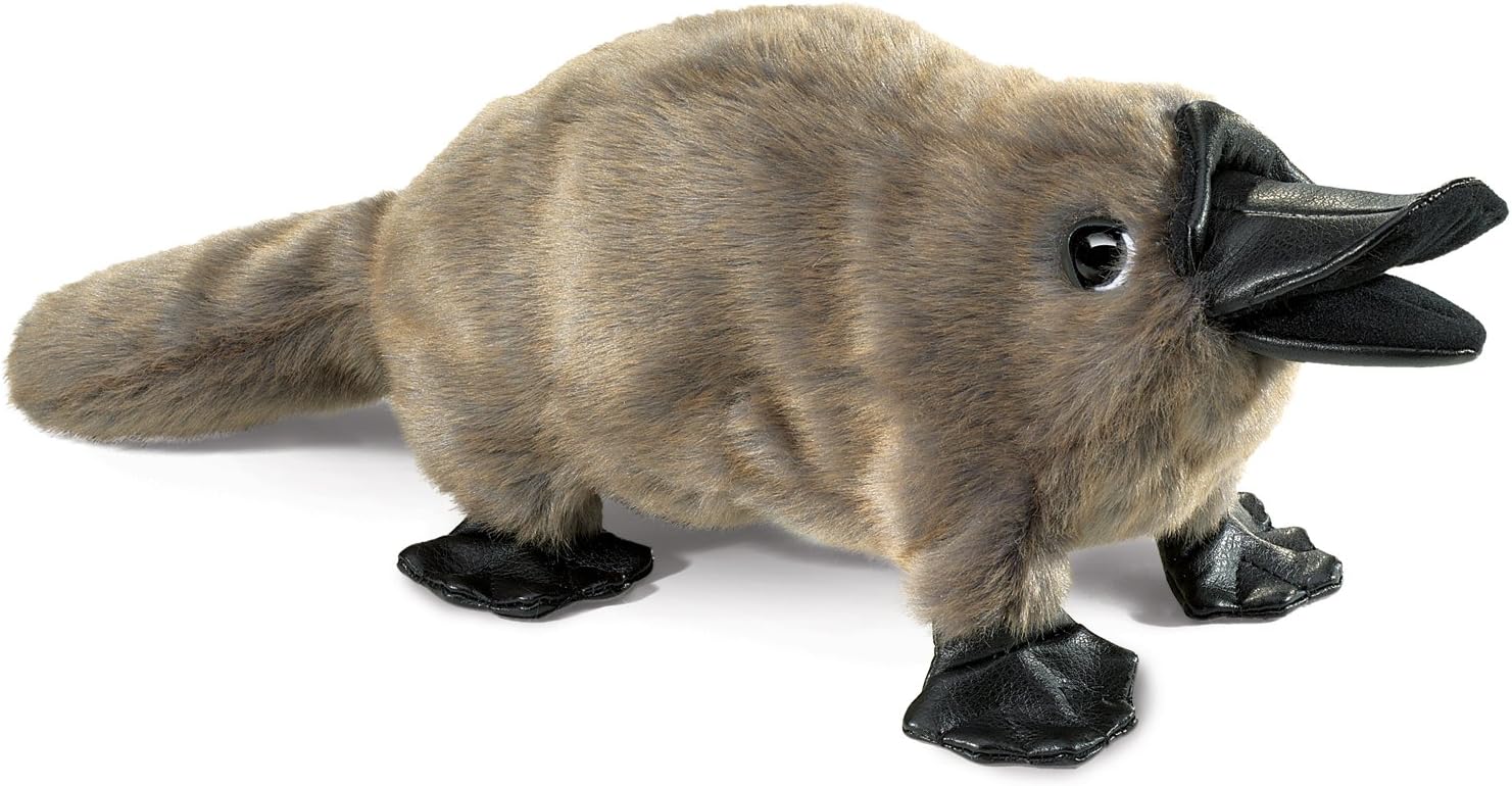 Amazon.com: Folkmanis Baby Platypus Hand Puppet, Gray : Toys & Games